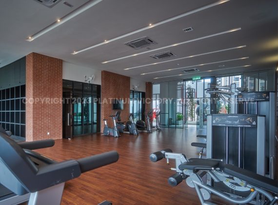 Platinum Arena - Platinum Victory