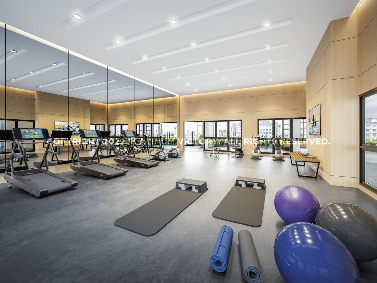 PSV 1 - Platinum Victory